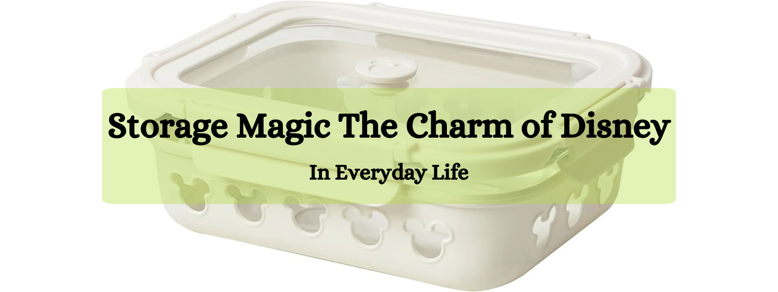 From Storage to Magic: The Charm of Disney Containers in Your Everyday ...