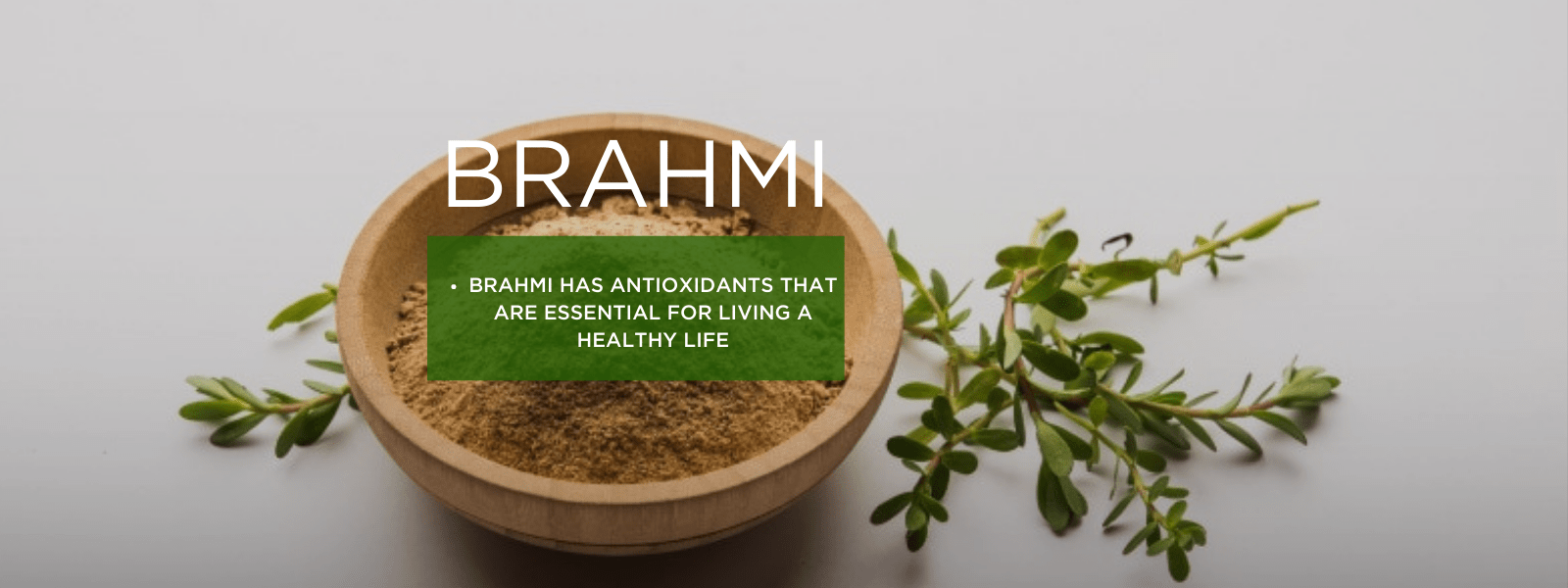 Brahmi- Health Benefits, Uses and Important Facts - PotsandPans India