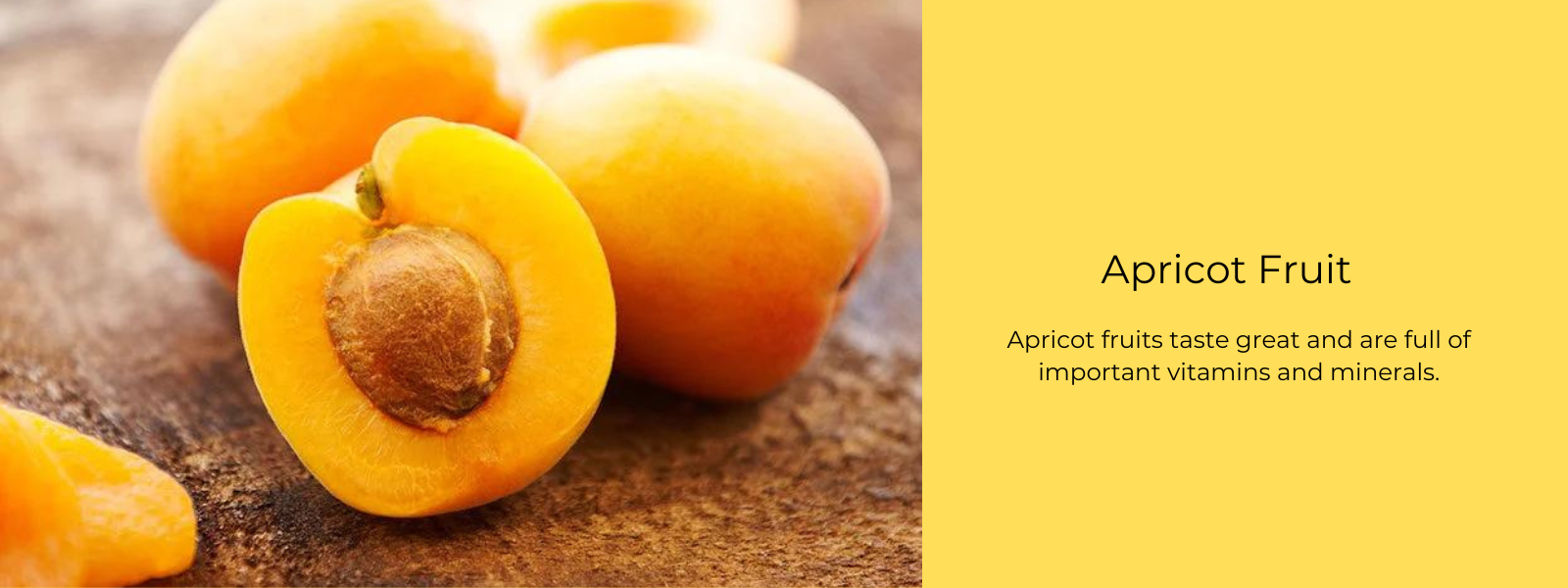 Apricot Fruit – Health Benefits, Uses and Important Facts - PotsandPans India