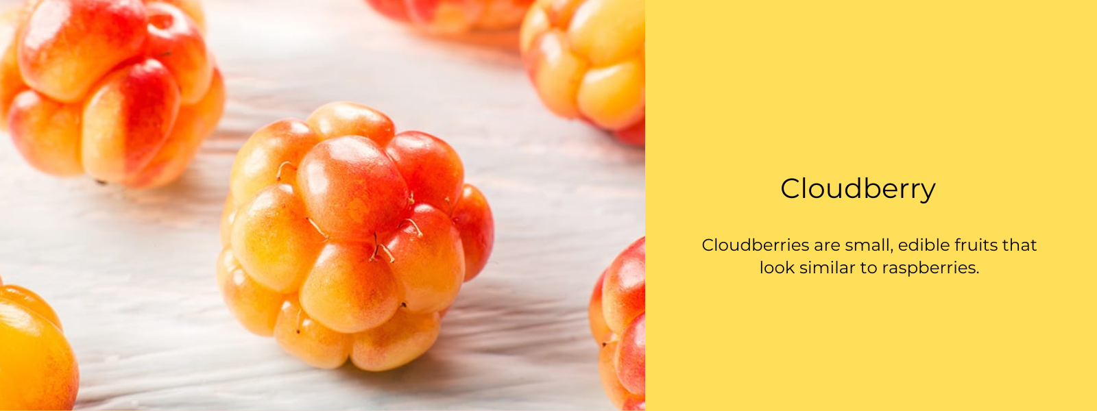 Cloudberry