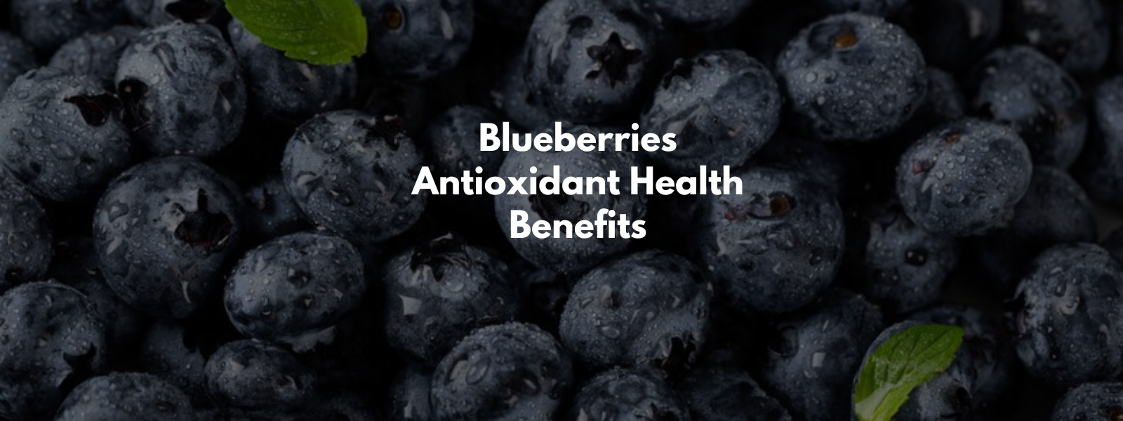Health Benefits Of Blueberries In Telugu – AQAN
