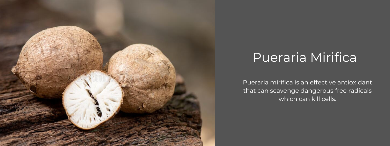 Pueraria Mirifica- Health Benefits, Uses and Important Facts ...