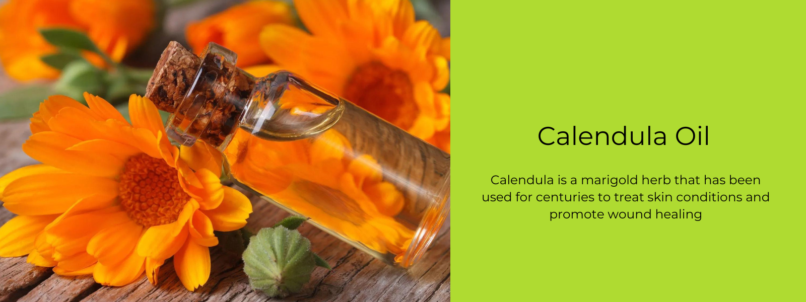 Calendula Oil- Health Benefits, Uses and Important Facts - PotsandPans ...