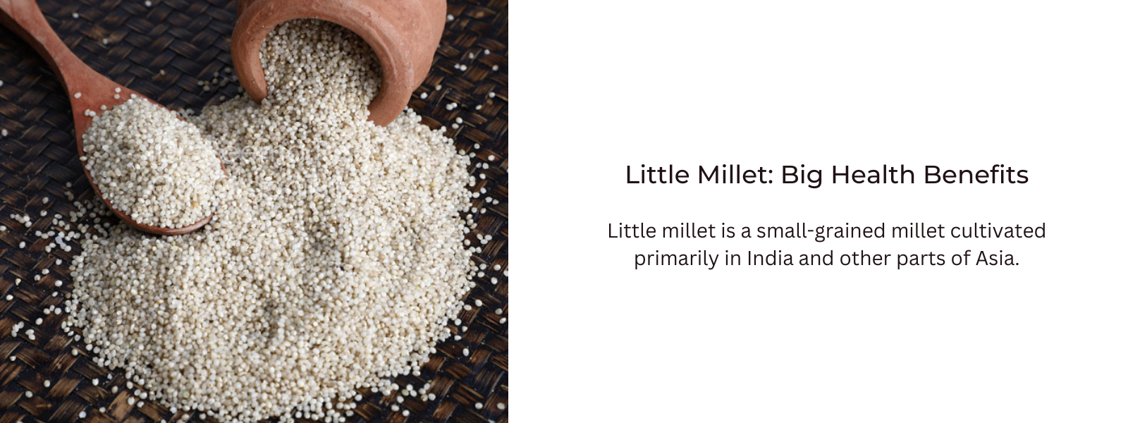 Little Millet: Big Health Benefits - PotsandPans India
