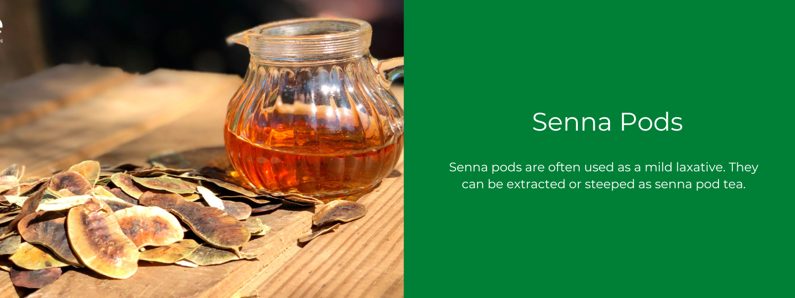 Senna Pods - Health Benefits, Uses and Important Facts - PotsandPans India