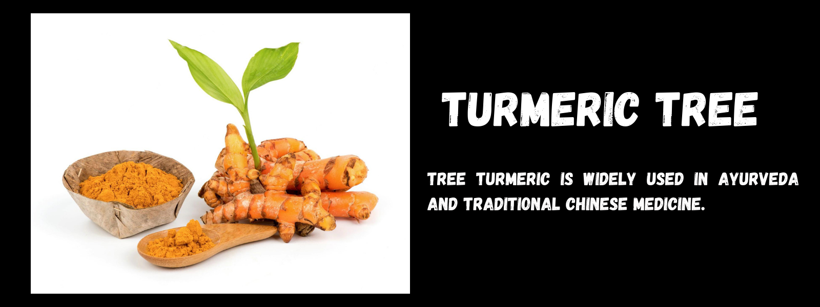 Turmeric Tree- Health Benefits, Uses and Important Facts - PotsandPans ...