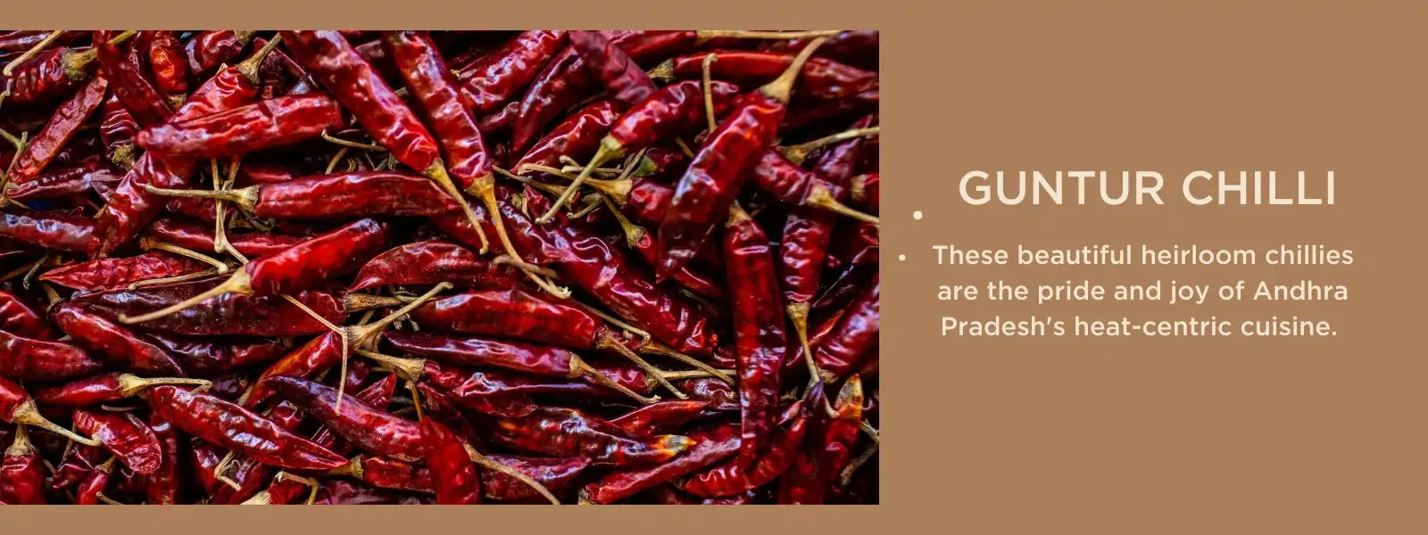 Guntur chilli - Health Benefits, Uses and Important Facts - PotsandPans ...