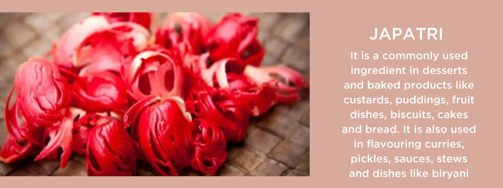 Japatri - Health Benefits, Uses and Important Facts - PotsandPans India