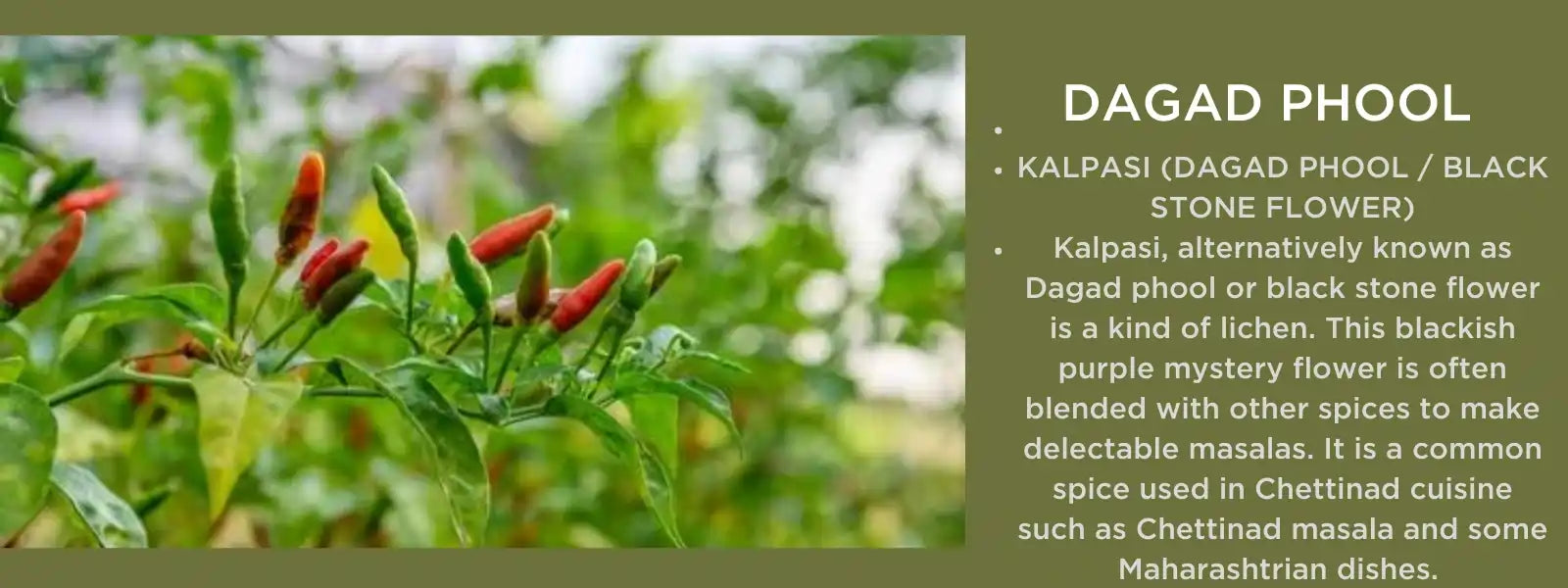 Dagad phool- Health Benefits, Uses and Important Facts - PotsandPans India