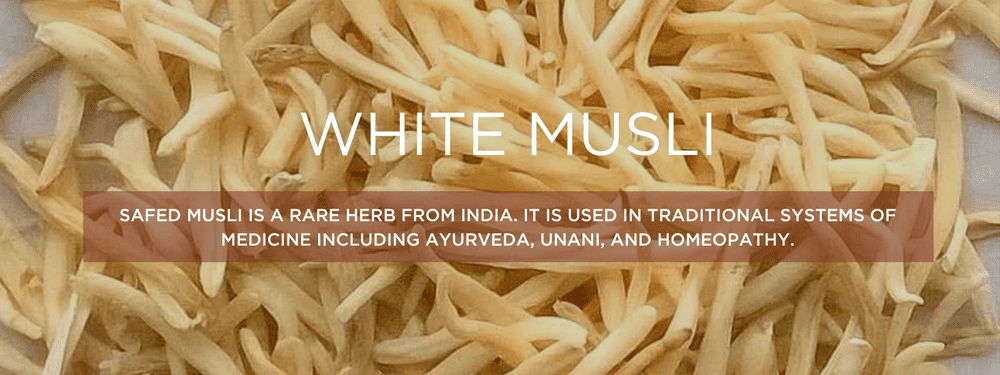 White musli - Health Benefits, Uses and Important Facts - PotsandPans India